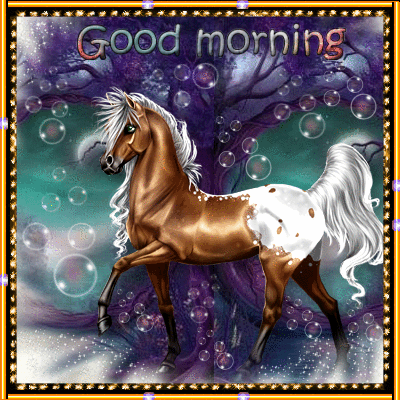 Good Morning Pictures, Photos, and Images for Facebook, Tumblr ...