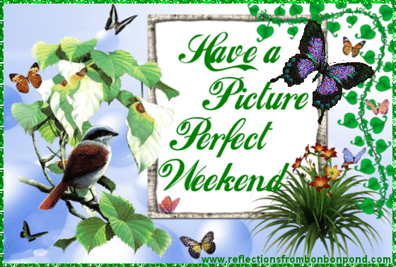 Have A Picture Perfect Weekend Pictures, Photos, and Images for ...