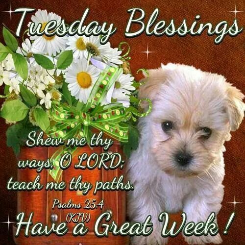 Tuesday Blessings Pictures, Photos, and Images for Facebook, Tumblr ...