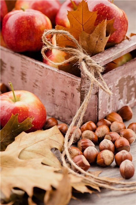 Apples, Leaves And Acorns Pictures, Photos, and Images for Facebook ...