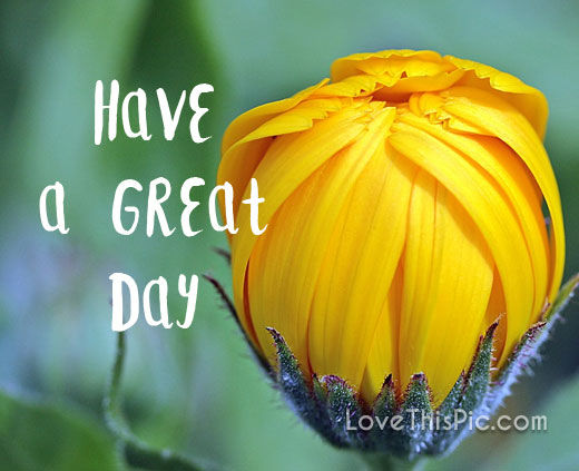 Have A Great Day Pictures, Photos, and Images for Facebook, Tumblr ...