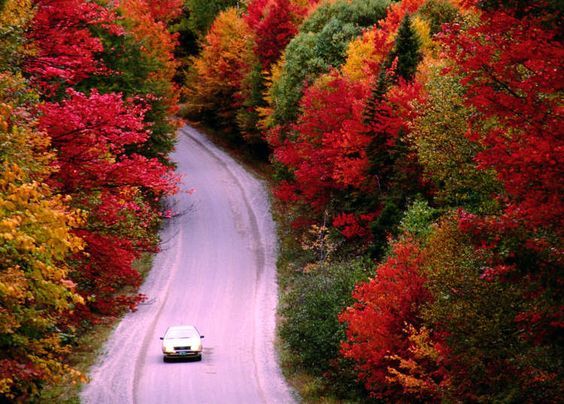 Beautiful Autumn Road Pictures, Photos, and Images for Facebook, Tumblr ...