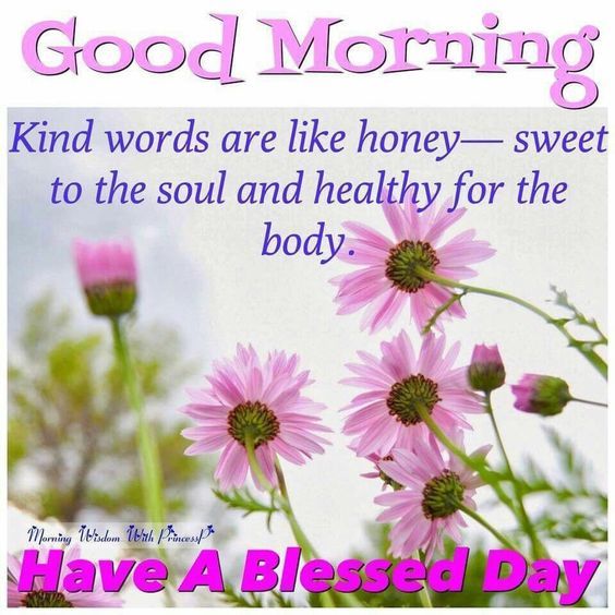 Good Morning, Have A Blessed Day Pictures, Photos, and Images for ...
