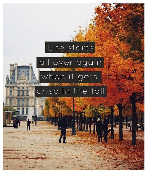 Life Starts All Over Again When It Gets Crisp In The Fall Pictures ...