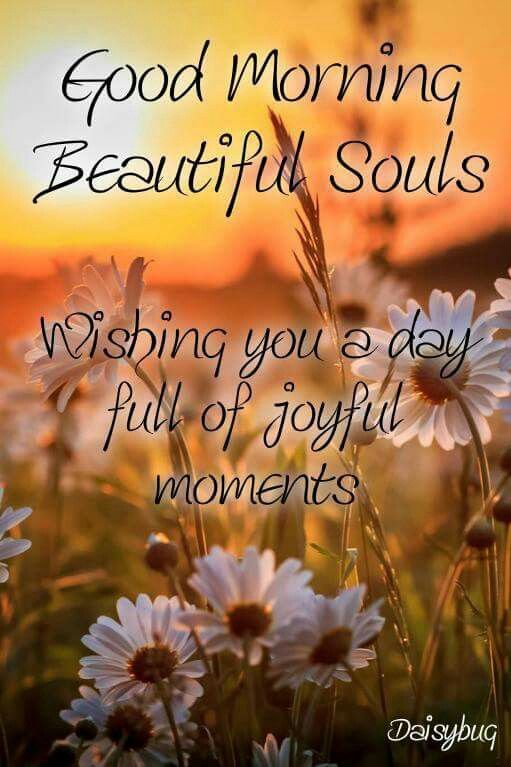 Good Morning Beautiful Souls Pictures, Photos, and Images for Facebook ...