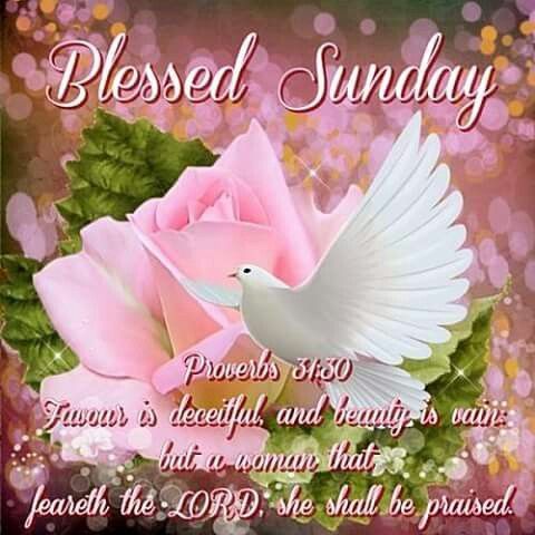 Blessed Sunday Pictures, Photos, and Images for Facebook, Tumblr ...