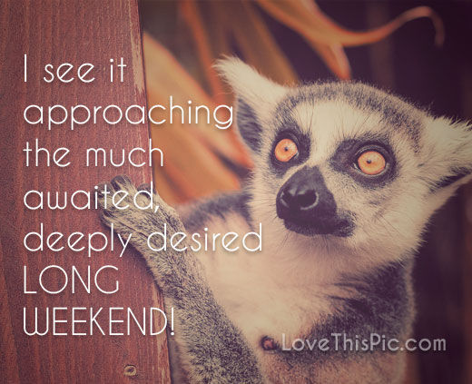 I See It Pictures, Photos, and Images for Facebook, Tumblr, Pinterest ...