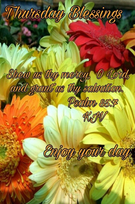 Thursday Blessings Pictures, Photos, and Images for Facebook, Tumblr ...