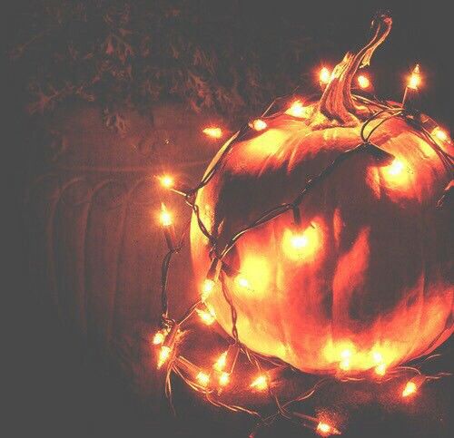 Halloween Lights With Pumpkins Pictures, Photos, and Images for ...