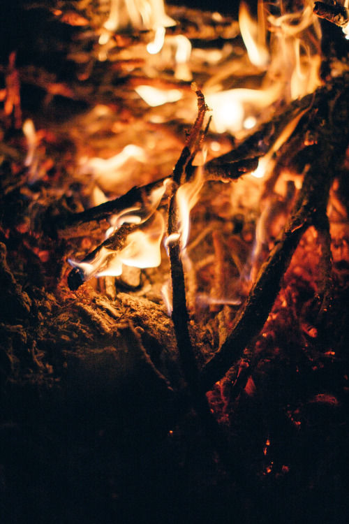 Wood Fire Pictures, Photos, and Images for Facebook, Tumblr, Pinterest ...