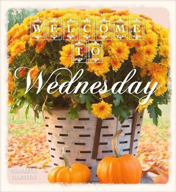 Welcome To Wednesday Pictures, Photos, and Images for Facebook, Tumblr ...