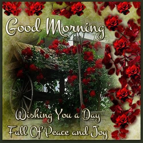 Good Morning, Wishing You A Day Full Of Peace And Joy Pictures, Photos ...