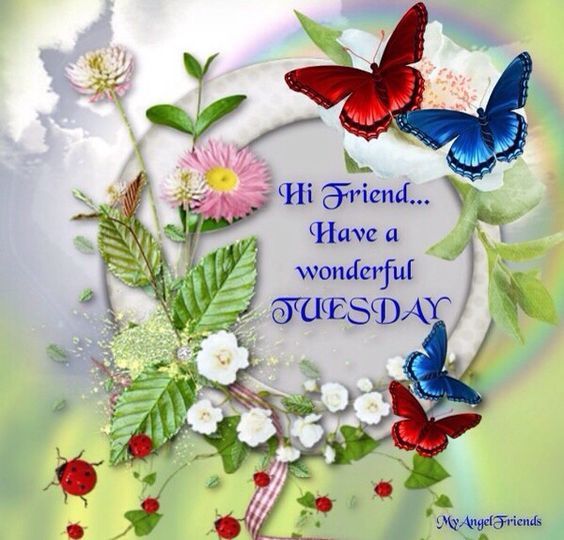 Hi Friend...Have A Wonderful Tuesday Pictures, Photos, and Images for ...