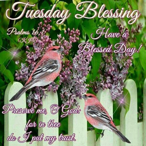 Tuesday Blessing Pictures, Photos, and Images for Facebook, Tumblr ...