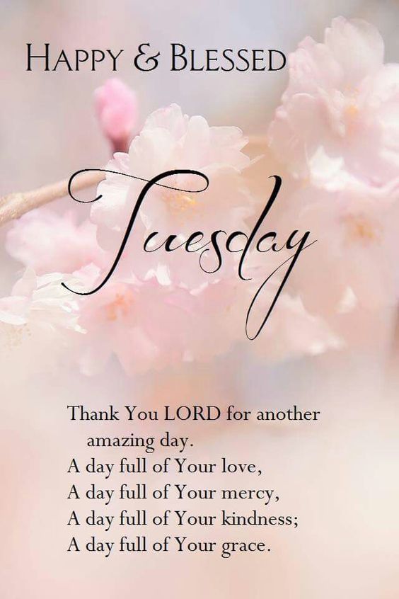 Happy & Blessed Tuesday Pictures, Photos, and Images for Facebook ...