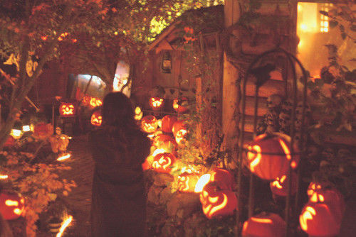 Jack O Lantern Grove Pictures, Photos, and Images for Facebook, Tumblr ...