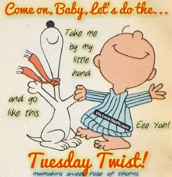 Lets Do The Tuesday Twist! Pictures, Photos, and Images for Facebook ...