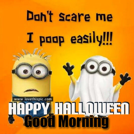 Don't Scare I Poop Easily!!! Happy Halloween, Good Morning Pictures ...