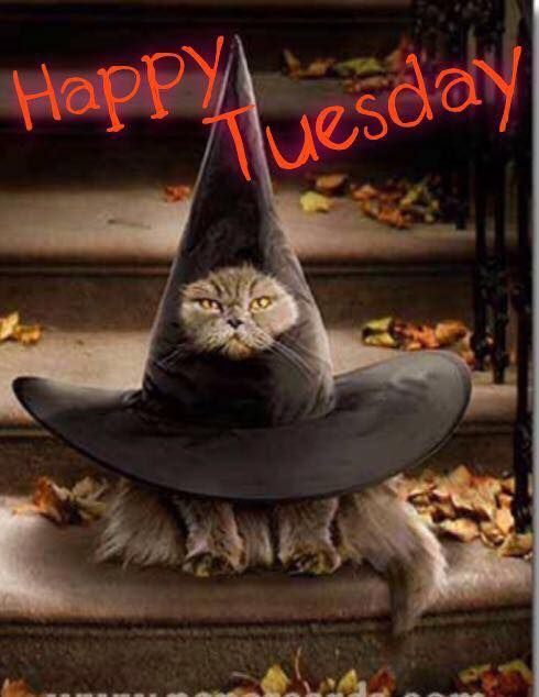 Happy Tuesday Pictures, Photos, and Images for Facebook, Tumblr ...