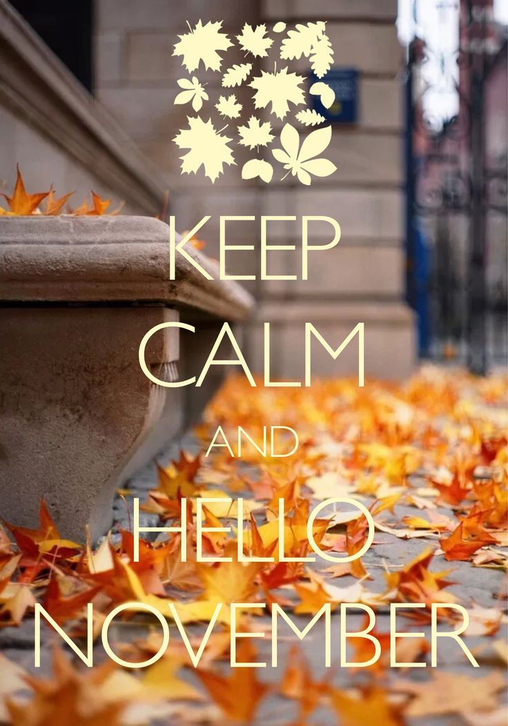 Keep Calm And Hello November Pictures, Photos, and Images for Facebook ...