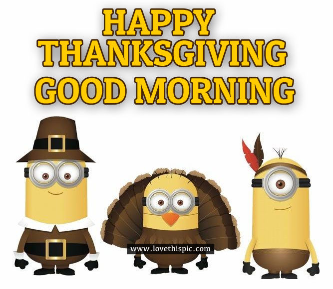 Happy Thanksgiving, Good Morning Pictures, Photos, and Images for ...