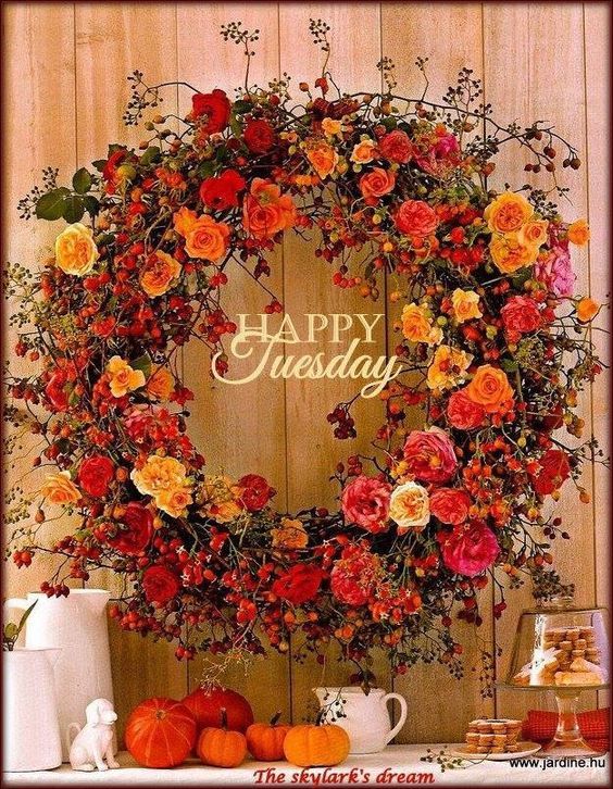 Happy Tuesday Pictures, Photos, and Images for Facebook, Tumblr ...