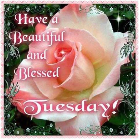 Have A Beautiful Tuesday Pictures, Photos, and Images for Facebook ...
