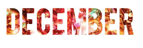 December Pictures, Photos, and Images for Facebook, Tumblr, Pinterest ...