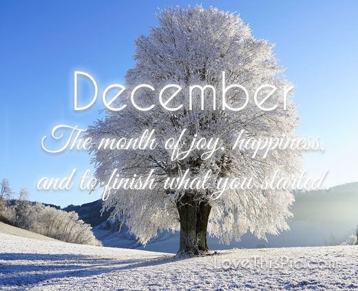 December Pictures, Photos, and Images for Facebook, Tumblr, Pinterest ...