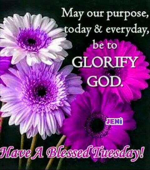 Have A Blessed Tuesday Pictures, Photos, and Images for Facebook ...