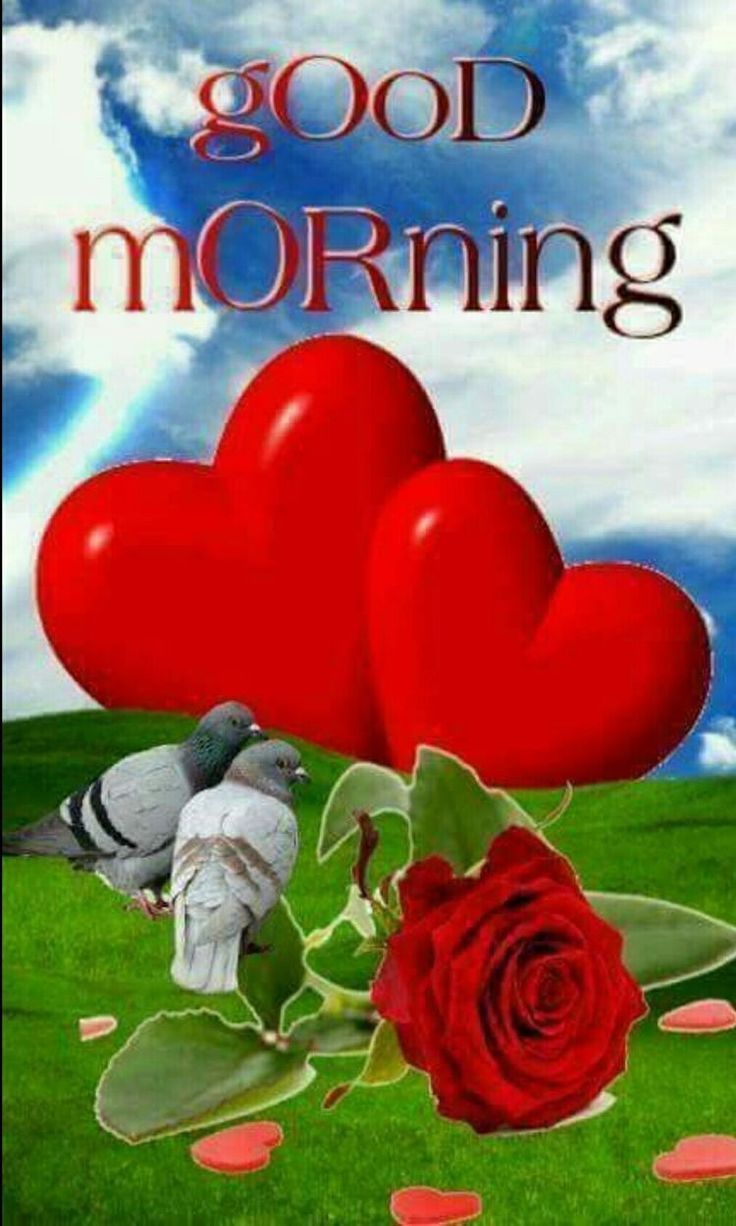 Good Morning Pictures, Photos, and Images for Facebook, Tumblr ...