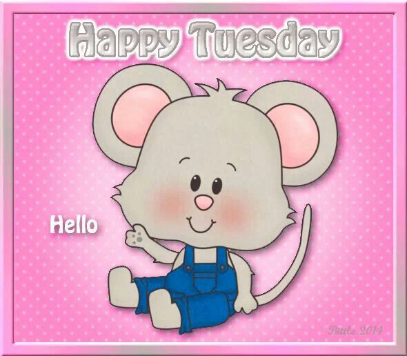 Happy Tuesday, Hello Pictures, Photos, and Images for Facebook, Tumblr ...