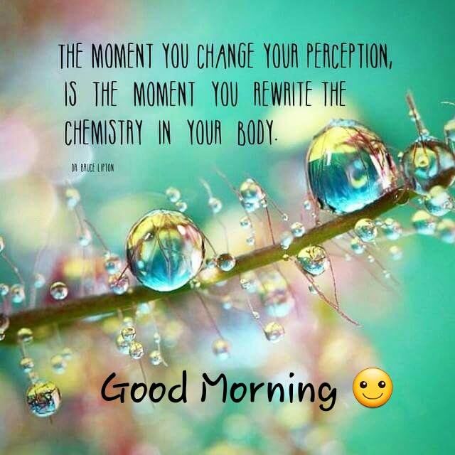 Good Morning Pictures, Photos, and Images for Facebook, Tumblr ...