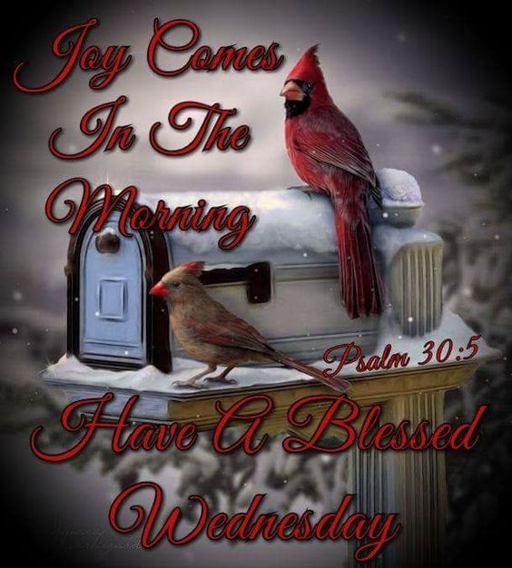 Joy Comes In The Morning Pictures, Photos, and Images for Facebook ...