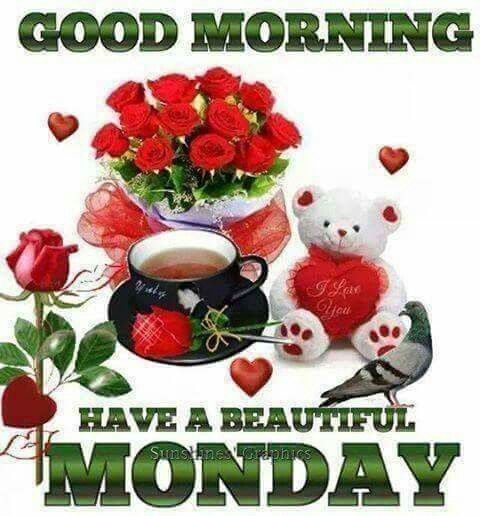 Good Morning, Have A Beautiful Monday Pictures, Photos, and Images for ...