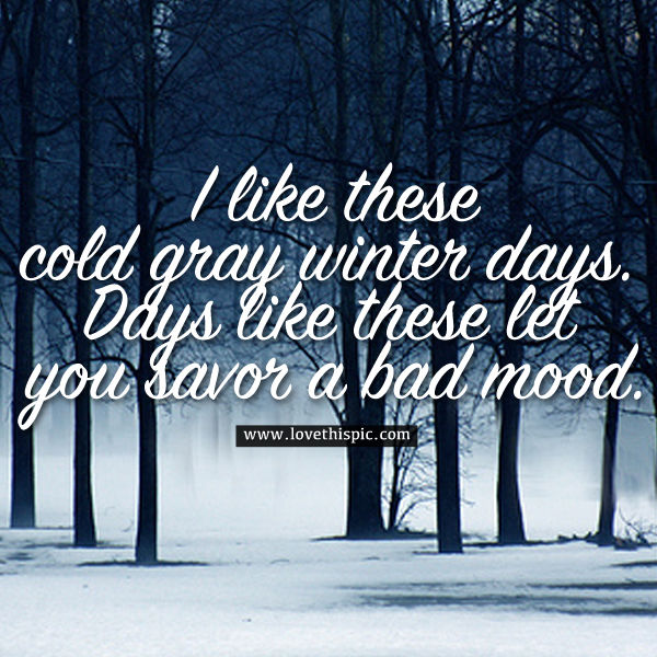 I Like These Cold Gray Winter Days. Days Like These Let You Savor A Bad ...