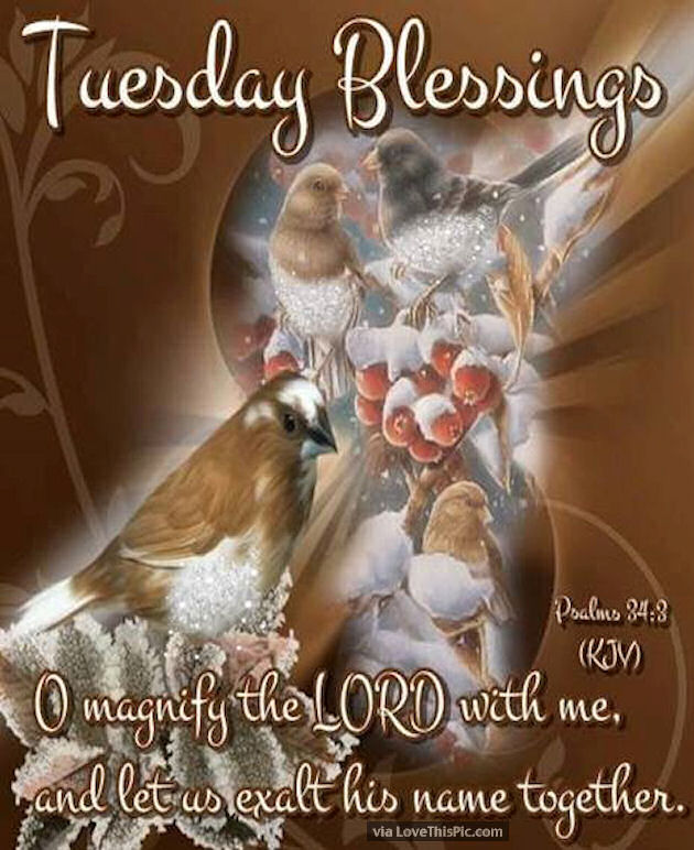 Religious Tuesday Blessing Quote Pictures, Photos, and Images for ...