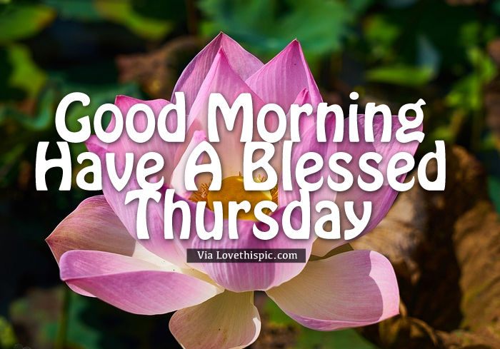 Good Morning Flower For Thursday Pictures, Photos, and Images for ...