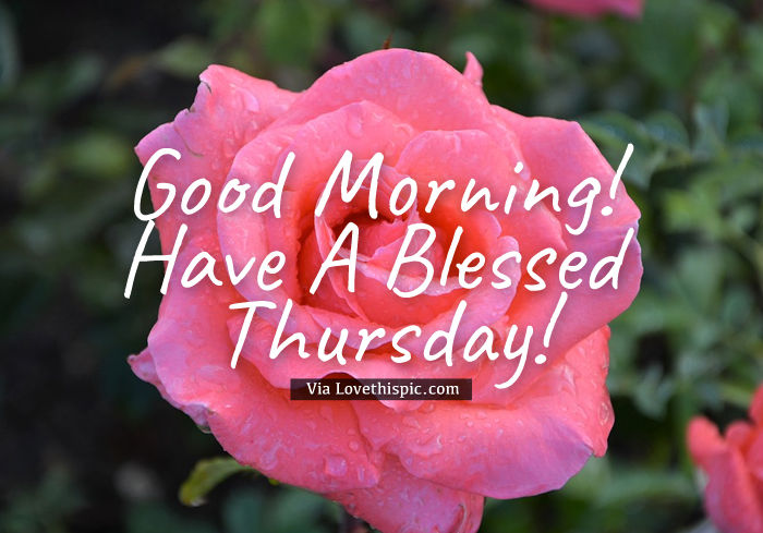 Its A Blooming Blessed Thursday! Pictures, Photos, and Images for ...