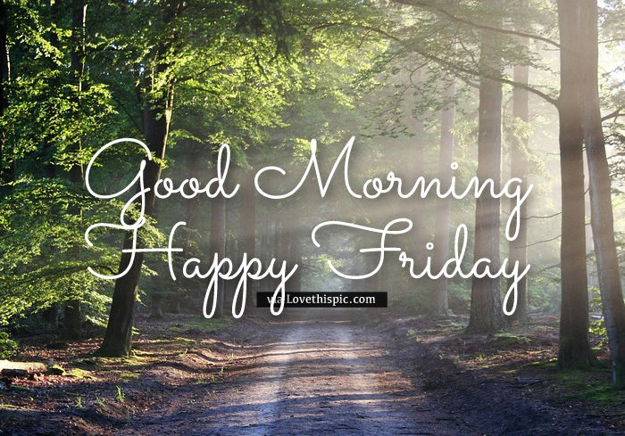 Good Morning Forest Friday Pictures, Photos, and Images for Facebook ...