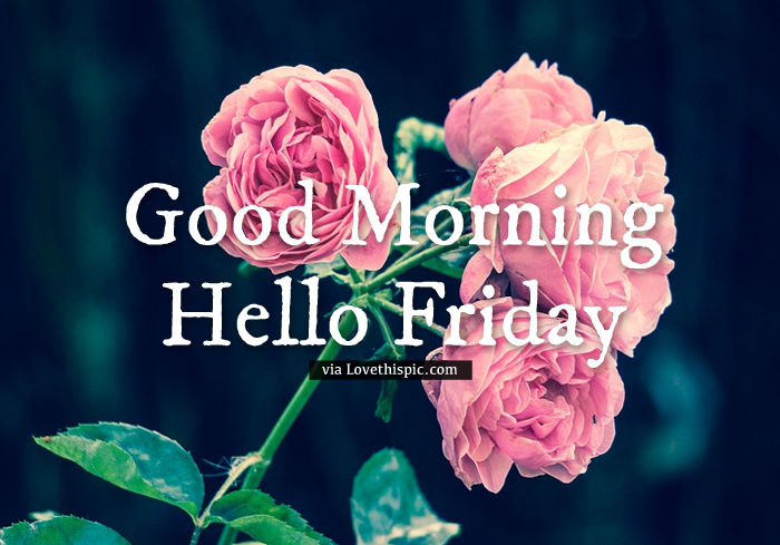 Flowers Hello Friday Pictures, Photos, and Images for Facebook, Tumblr ...