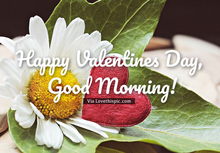 Good Morning Quote For Valentines Day Pictures, Photos, and Images for ...
