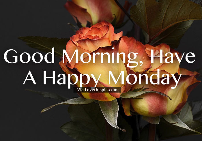 Flowers, Have A Happy Monday Pictures, Photos, and Images for Facebook ...