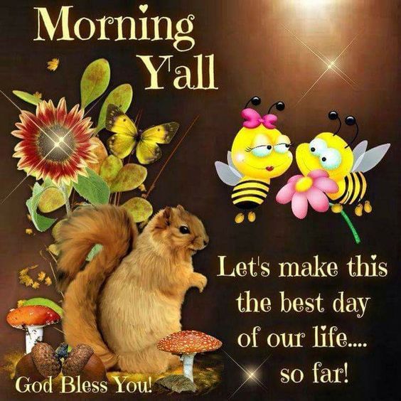 Morning Y'all Pictures, Photos, and Images for Facebook, Tumblr ...