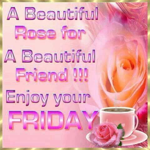 A Beautiful Rose For A Beautiful Friend!!! Enjoy Your Friday Pictures ...