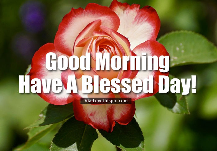 Good Morning Blooming Flower Pictures, Photos, and Images for Facebook ...
