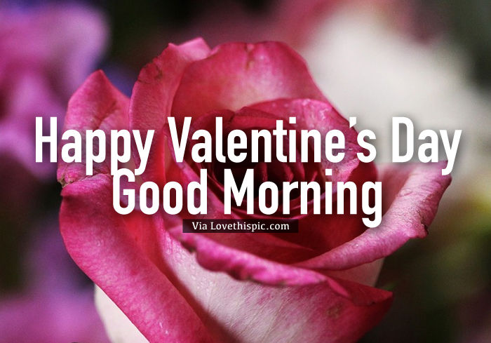Happy Valentine's Rose Good Morning Pictures, Photos, and Images for ...