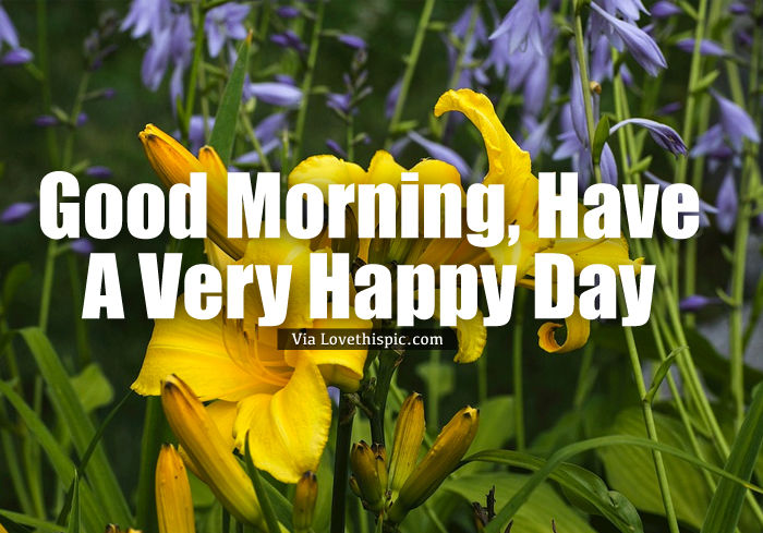 Good Morning, Have A Very Happy Day Pictures, Photos, and Images for ...