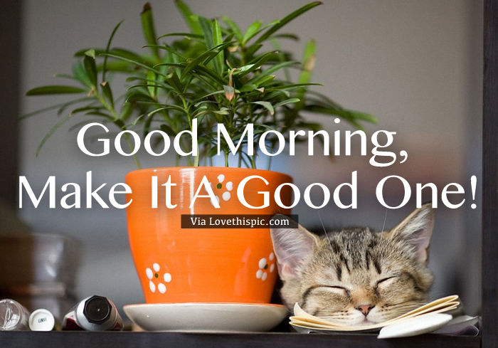 Good Morning, Make It A Good One! Pictures, Photos, and Images for ...