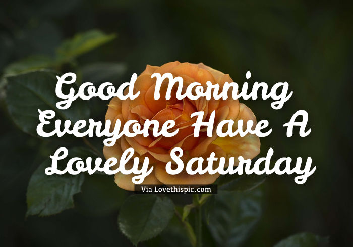 Happy Saturday Everyone